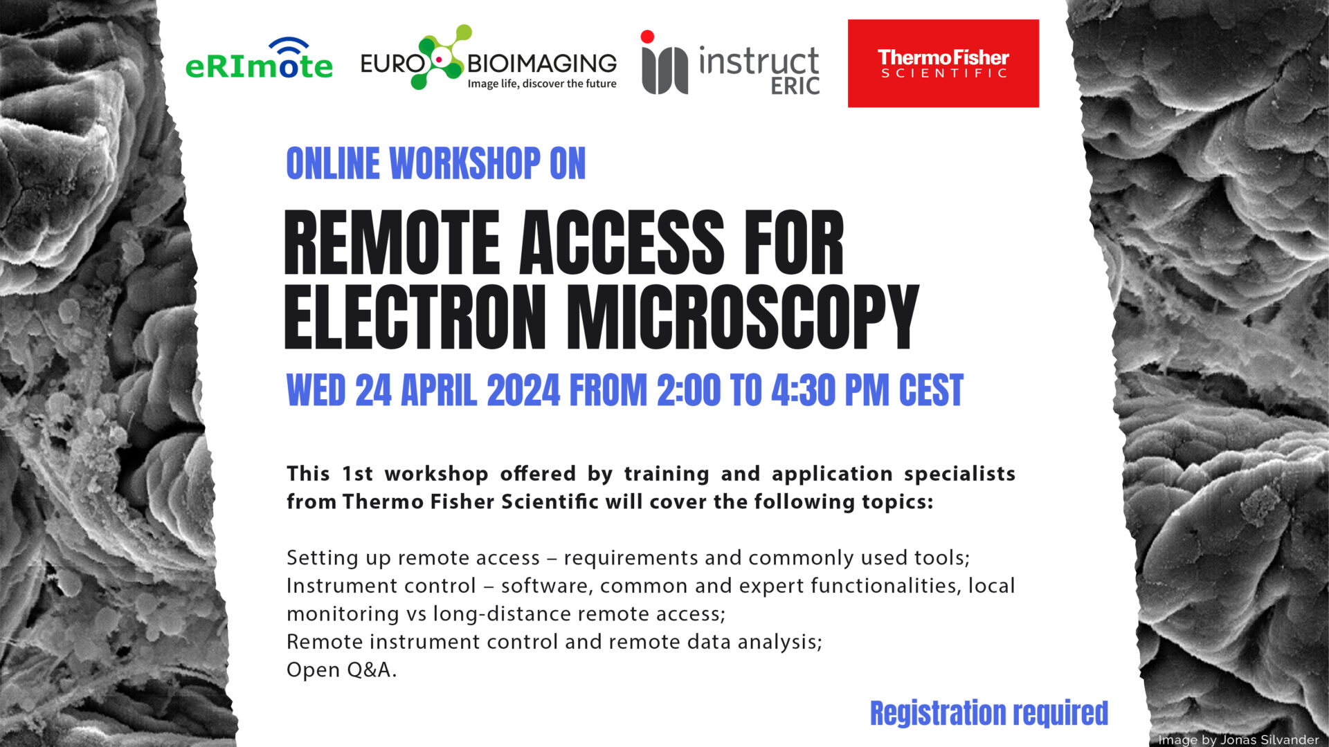 Workshop on “Remote access for Electron Microscopy”