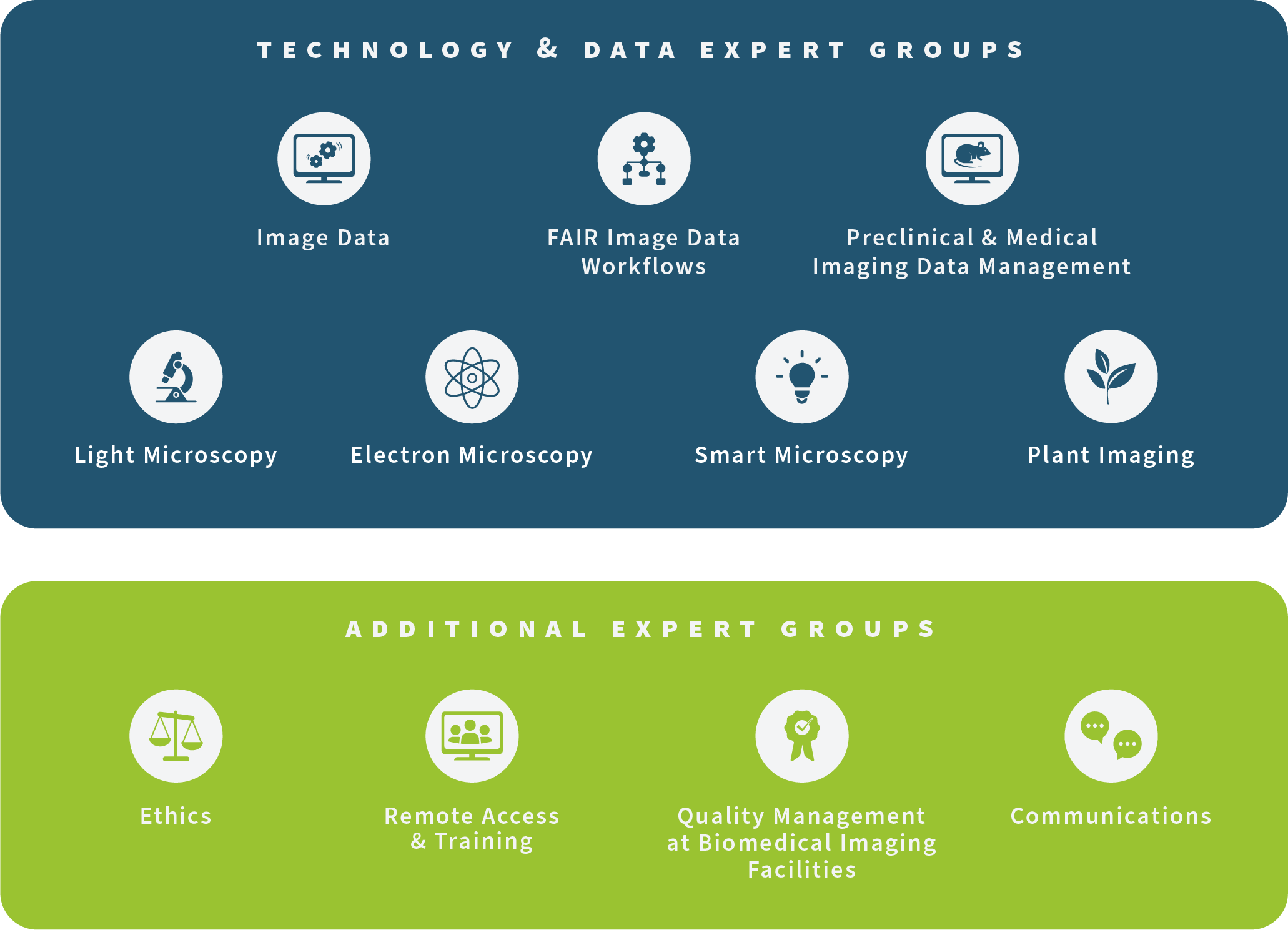 Expert groups - Euro-BioImaging