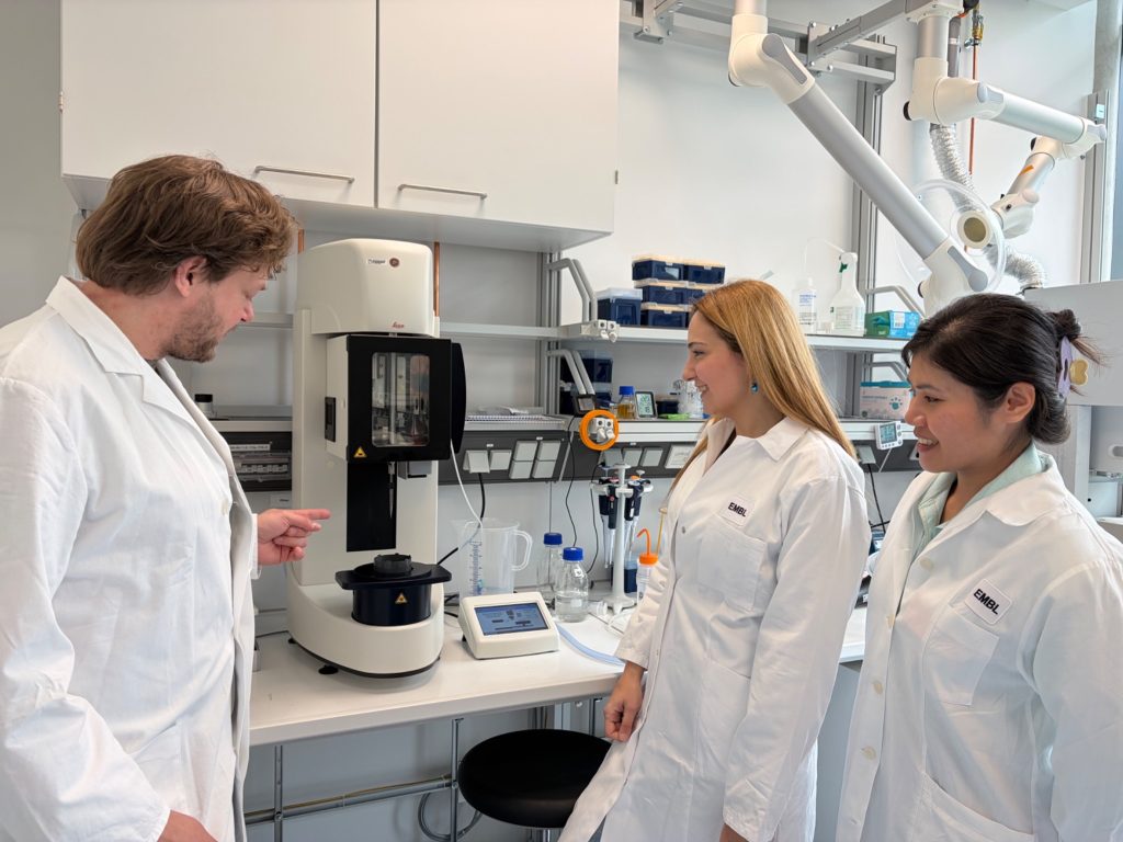 From the fields of Africa to the Electron Microscopy bench ...
